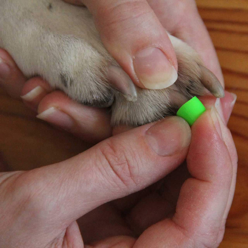 Open media 4 in modal