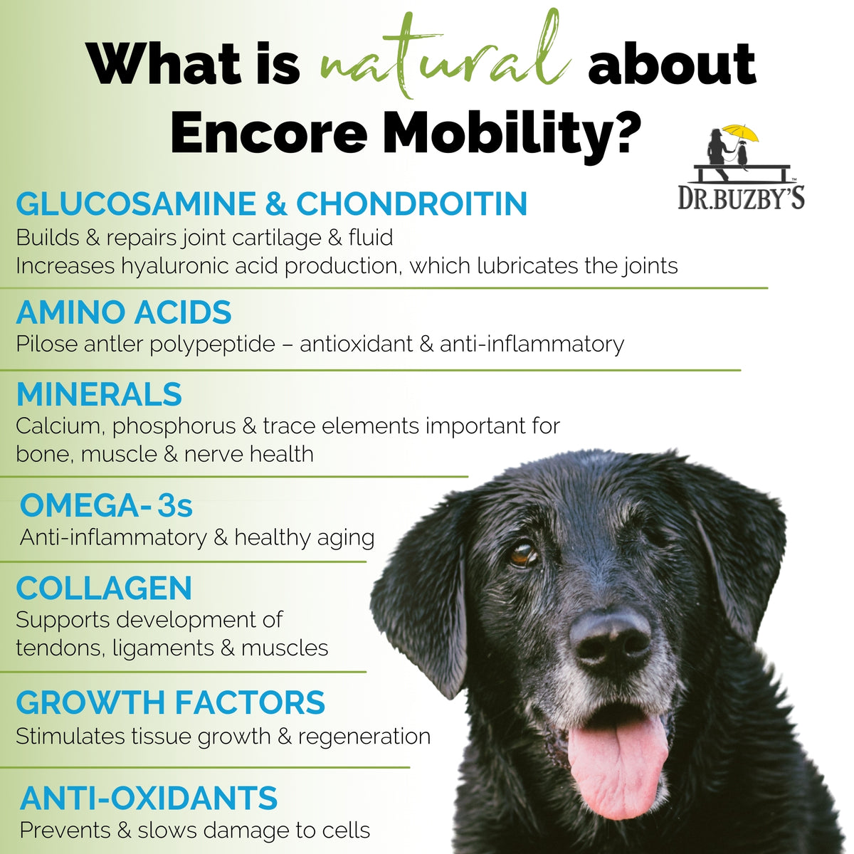 Dr. Buzby's Encore Mobility™ Deer Velvet for Dogs Joint Supplement