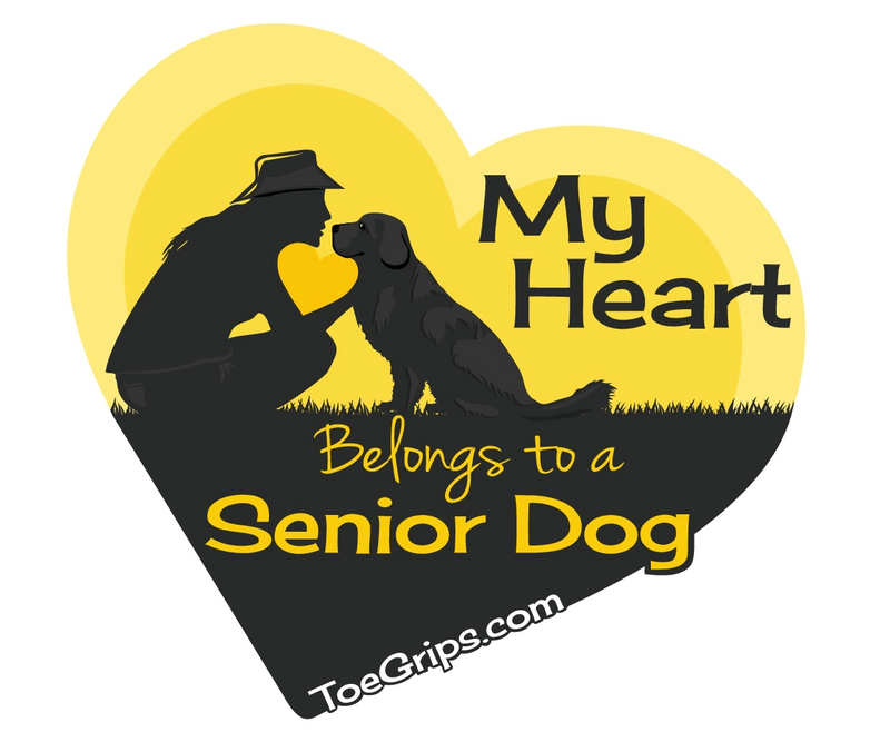 "My ️ Belongs to a Senior Dog" Vinyl Sticker